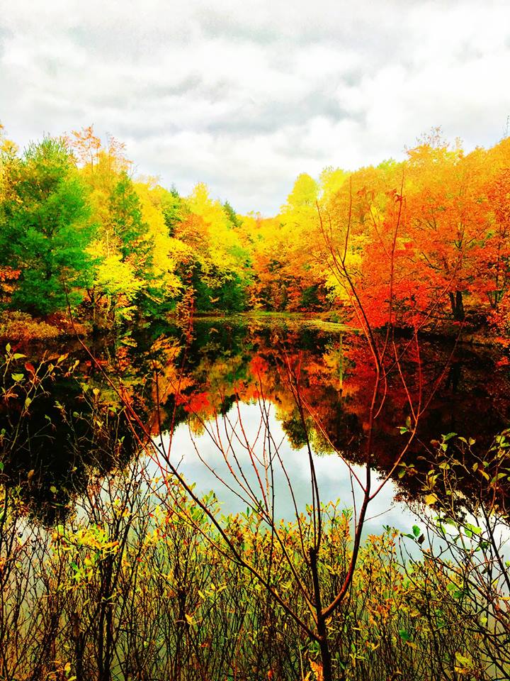 Fall Color Report - Keweenaw Chamber of Commerce